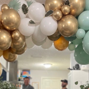 Mountain Ash Balloon Garland Kit / Eucalyptus Balloon Arch, Sage Blush ...