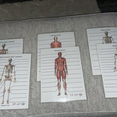 Skeletal System, Major Bones, Anatomy & Physiology, Study Worksheets ...