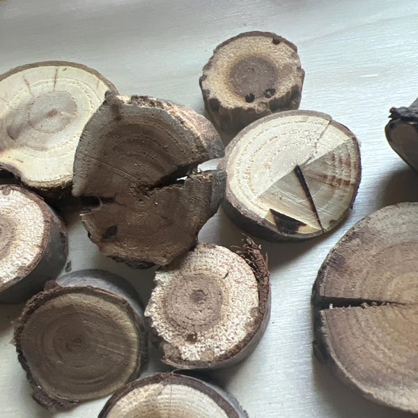 Live Edge Olive Tree Root Amazing Naturally Form Burl Wood Slab, Big ...