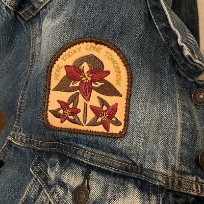 Common Buckeye Butterfly Pin Set - Etsy