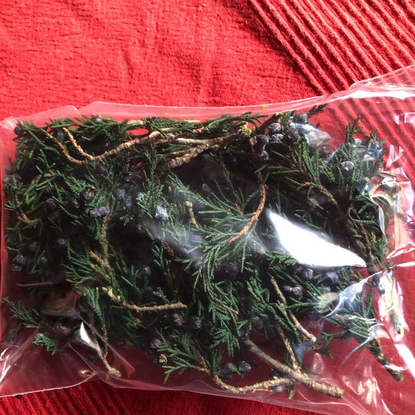 Preserved Juniper | Blueberry Juniper | Christmas | Aromatic Juniper-10 ...
