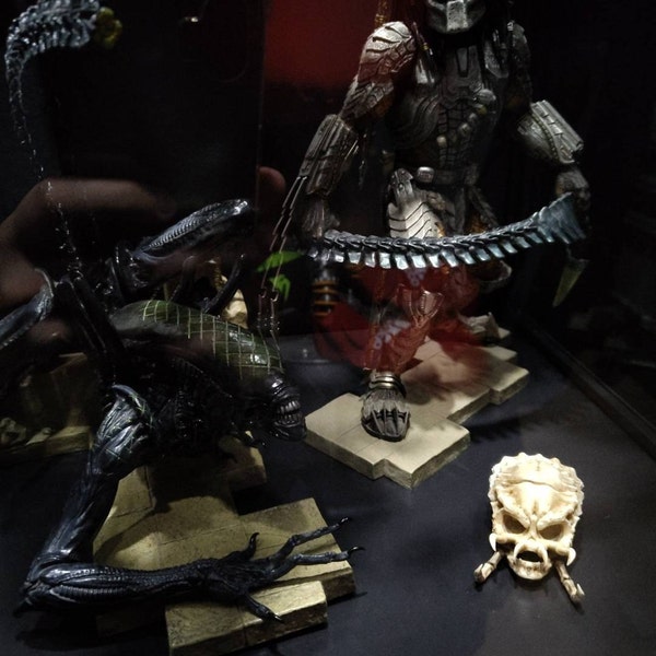 Predator Skull 1/6 Scale - Etsy