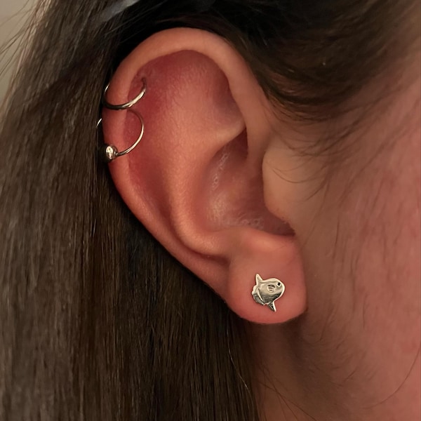 Ocean Sunfish Fish Stud Earrings in Sterling Silver, Cute Sun Fish ...