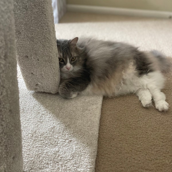 A-frame Cat Scratch Post/scratching Post/cat Scratcher/kitten/scratcher ...