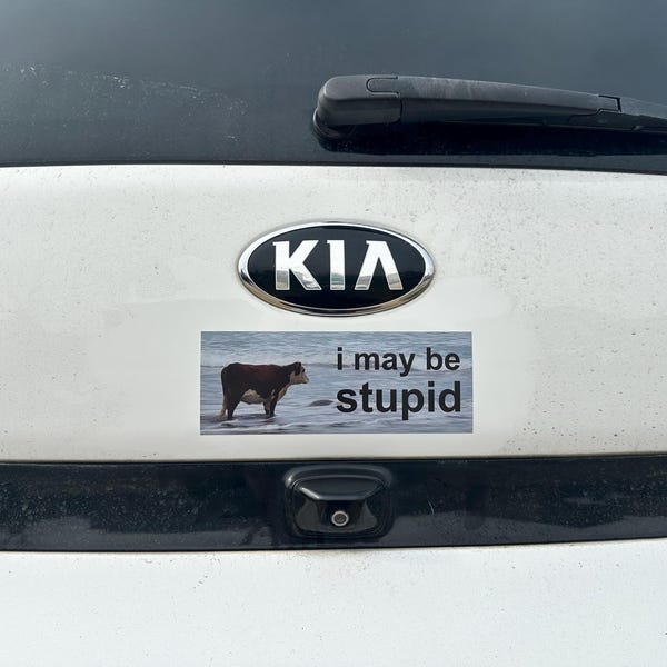 I May Be Stupid | Bumper Sticker | Meme Sticker | Water Resistant Vinyl ...