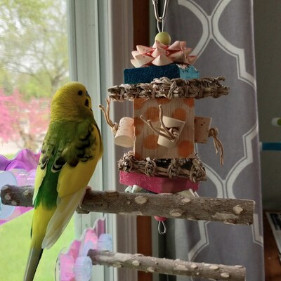 Botanical Bliss Seagrass Foraging Tray Rose Blossom Foraging Tray for ...