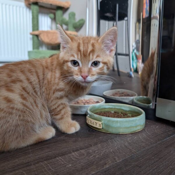 Ceramic Cheese Labels/ Cheese Board Markers/ Food Labels/ Tablescapes ...