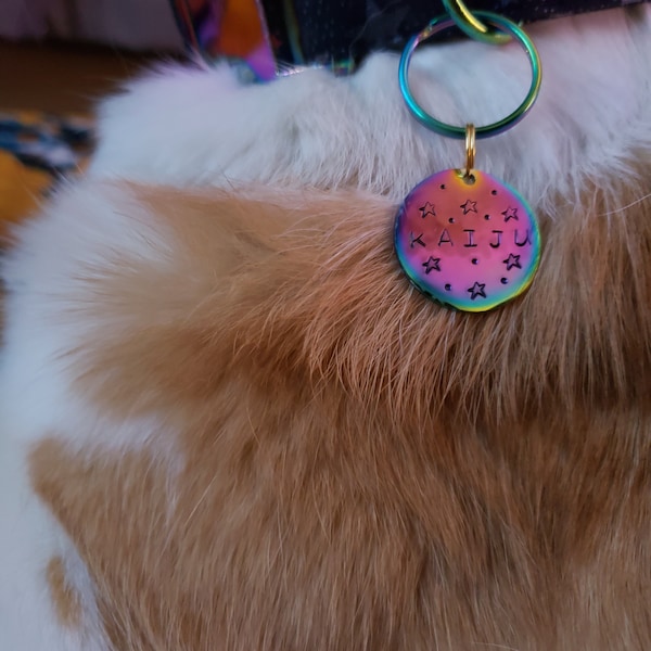 The Galaxy: Rainbow Steel Pet ID Tag | Dog Tag | Cat Tag | Bridle Tag ...