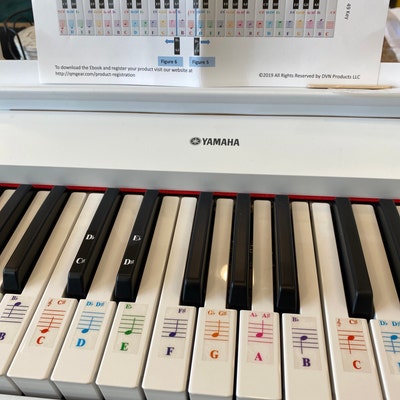 Color Coded Guitar Fretboard Note Chart, Learn to Play Guitar and Music ...