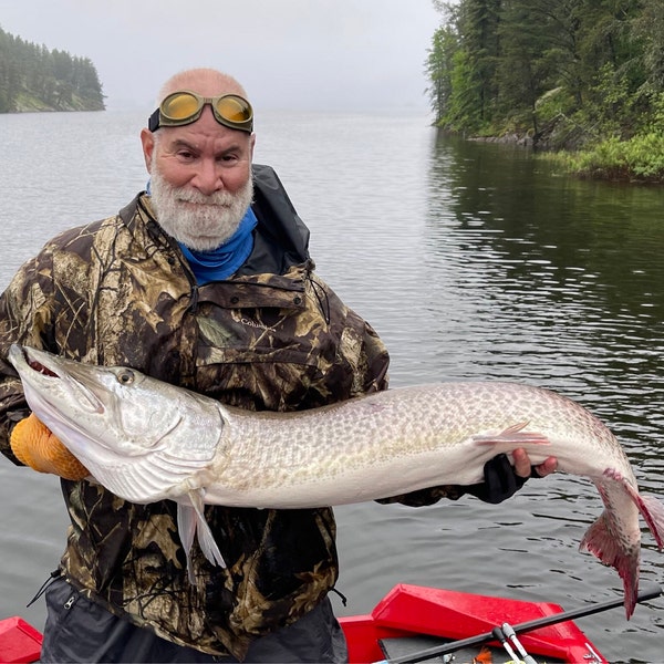 100 3 Curly Tail Pro Series Grubs Fishing Lures Jigs Bass Fishing ...