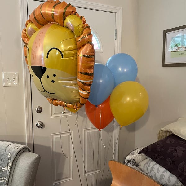 Safari Plates Lion Plates Safari Birthday Two Wild Wild One Wild and ...