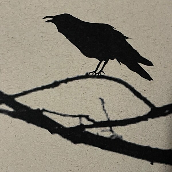 Library Card Spiral Notebook - Library Card Journal - Gift for Book ...