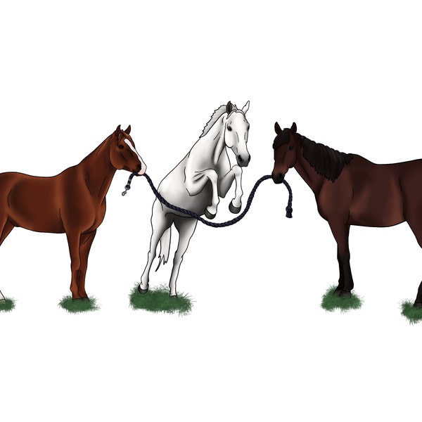 Custom Drawing of Your Horse | Custom Physical Print | Framing ...