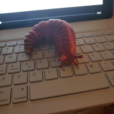 Rainbow Slug Large 3D Printed Slug Multicolor Slug Slinky Fidget Toy ...