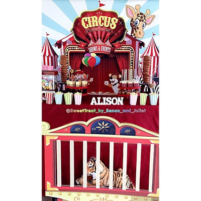 Circus Circus Party Circus Prop Circus Birthday Circus Decor Circus ...
