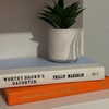 Bright Pink and Neon Orange Set of Books Pink Room Bedroom Decor Dorm ...