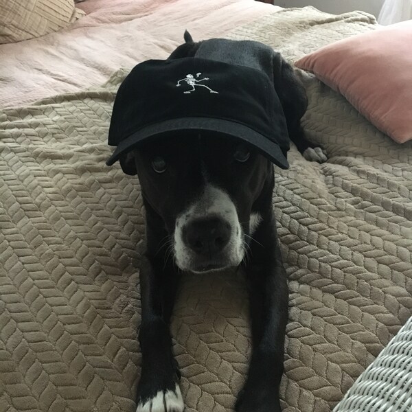 Retro Sneaking Skeleton - Etsy