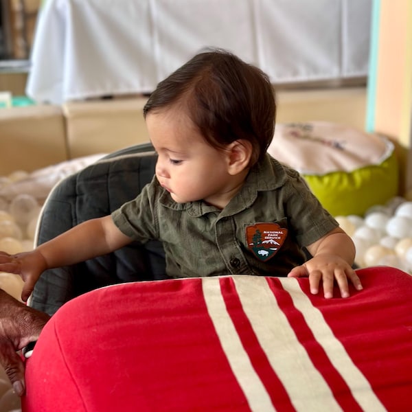 National Park Service 2.5 Inches Sew on or Iron on Woven NPS Patch - Etsy