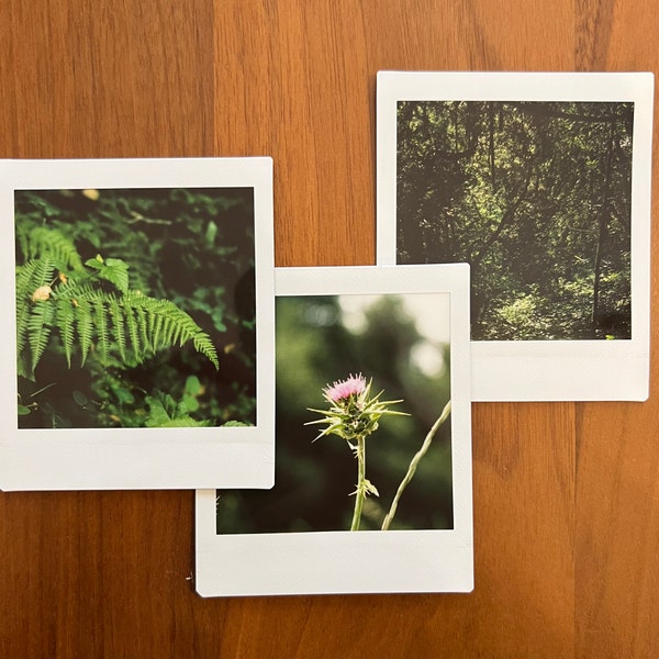 Jingstax - Motorized Instax Square Back for Mamiya RB67 - Etsy