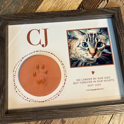 Pet Memorial Paw Print Holder Shadow Box, Two Paw Prints, Pet Loss ...