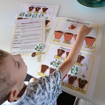 Shape Matching Printable, Pizza Shape Pepperoni Sorting Game, Shape ...