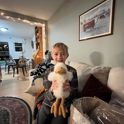 Fox Wire Farm Alpaca Teddy Bears pocket Size - Etsy