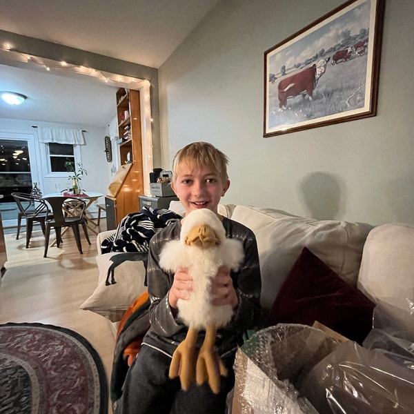 Fox Wire Farm Alpaca Sport Socks - Etsy