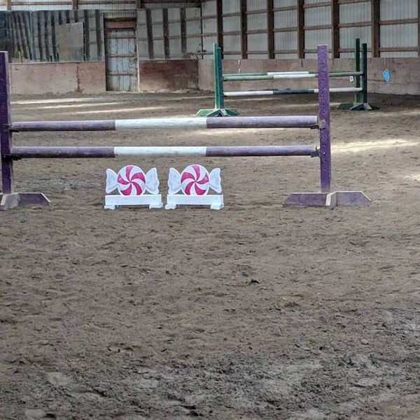 Lemon Horse Jump Fillers - Etsy