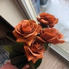 Burnt Orange Real Touch Silk Roses, DIY Florals Wedding/home/kitchen ...