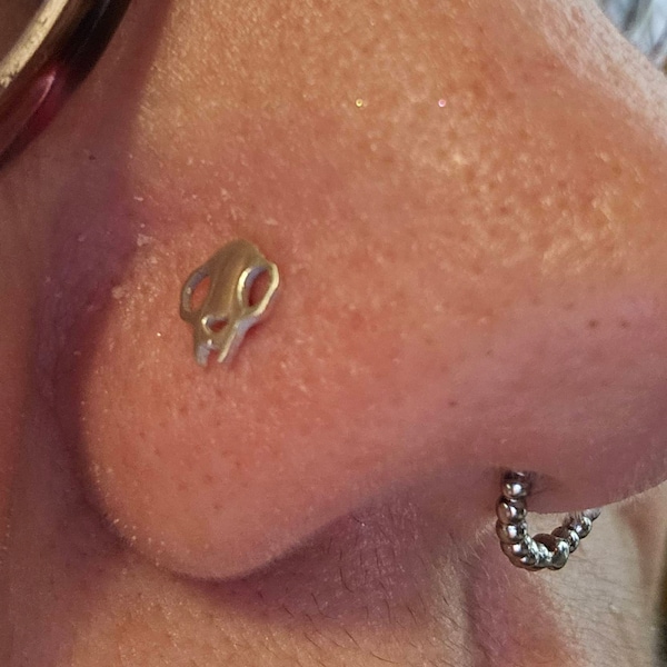 Cat Skull Silhouette Stud for Helix, Tragus, Conch + Nose Piercings ...