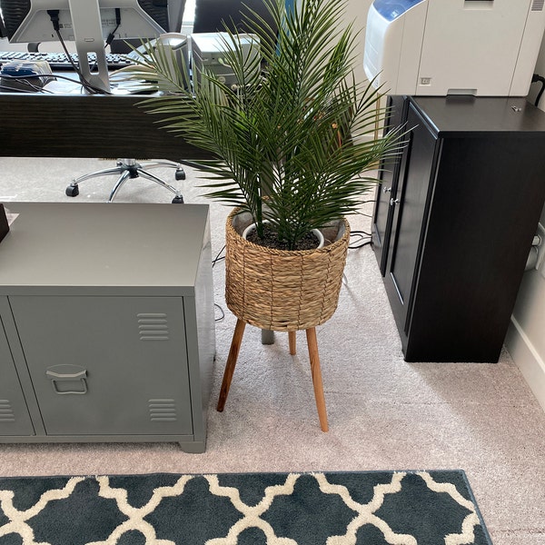 Boho Vintage Cat Tail Woven Plant Stand - Etsy