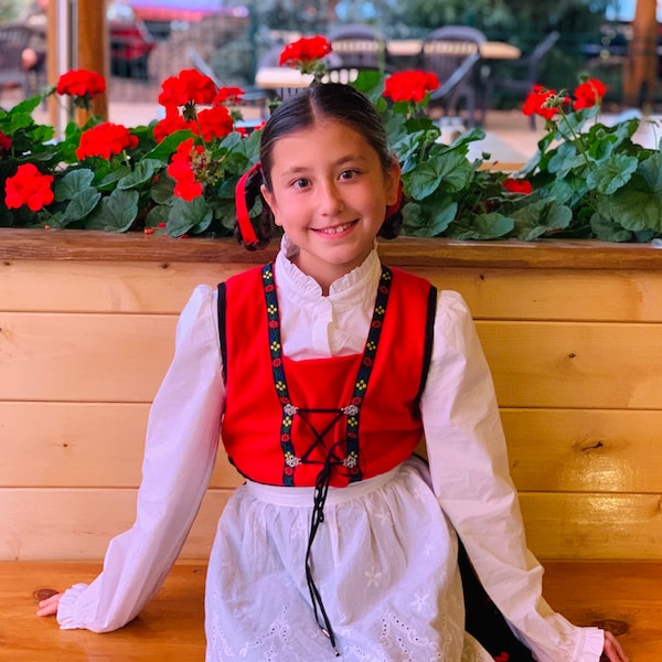 Norwegian Hardanger Style Costume Bunad Festdrakt Dress for Girls - Etsy