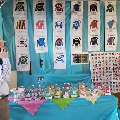 Custom Horse Racing Silks Graphics for Decoration - Etsy