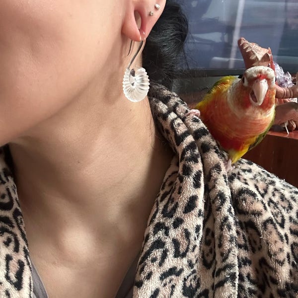 Gorilla Glass - Solid Hive Cocoons - 1/2 Inch or Larger - Priced per ...