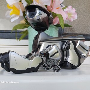 Vinyl Aibo ERS-1000 Head Decal Stickers - Etsy