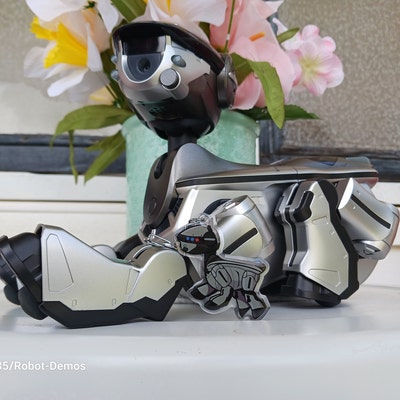 Vinyl Aibo ERS-1000 Head Decal Stickers - Etsy