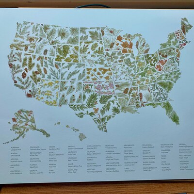 United States Tree Map State Trees Print, State Trees, Watercolor Map ...