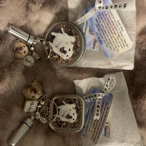 Pet Memorial Key Ring Pet Memorial Keychain With Custom Photo and ...