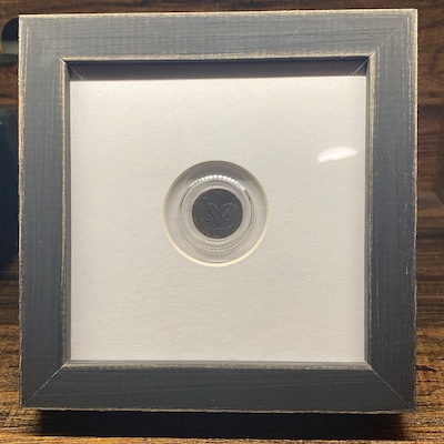 Coin Frame DIY Frame Kit for Coins Coin Display Coin Holder Penny Frame ...