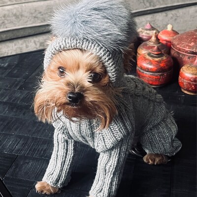 Fur Coat for Dog, Natural Fur Sweater for Dog, Handmade Dog Sweater - Etsy