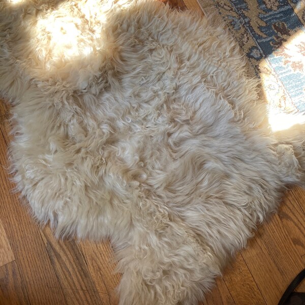 Genuine Real Sheepskin Rug Ivory Sheepskin Rug Single Pelt Wool Fur ...