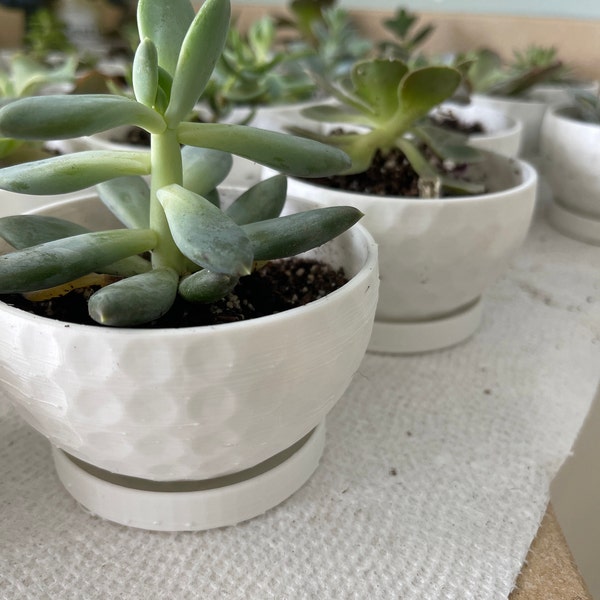 Medium Sized Golf Ball Themed Planter With Drainage - Etsy