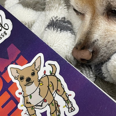 Funny Veterinary Receptionist Sticker Pack Vet Stickers - Etsy