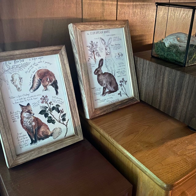 Illustrated Paper Products by RivuletPaperShop on Etsy