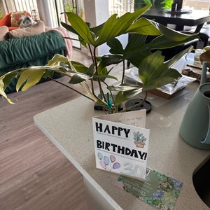 Plant Heat Pack - Etsy