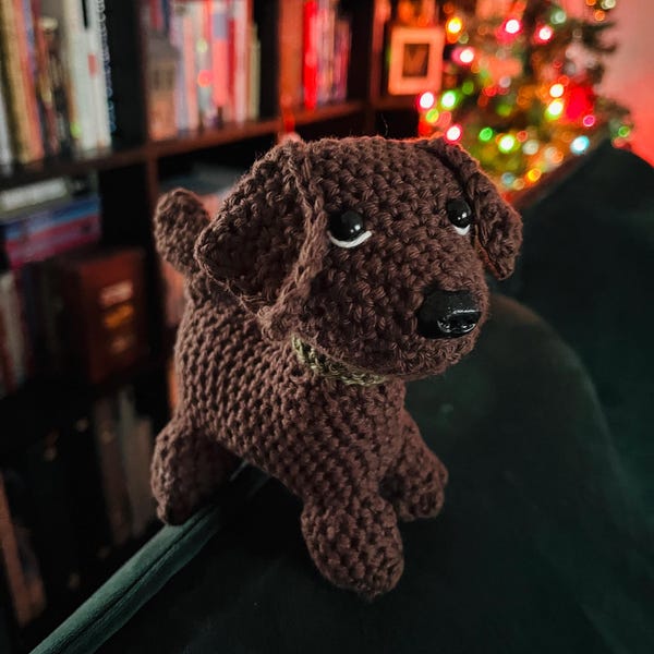 Tiny Dog Collection No Sew Mini Beagle, Husky, Labrador and Border ...