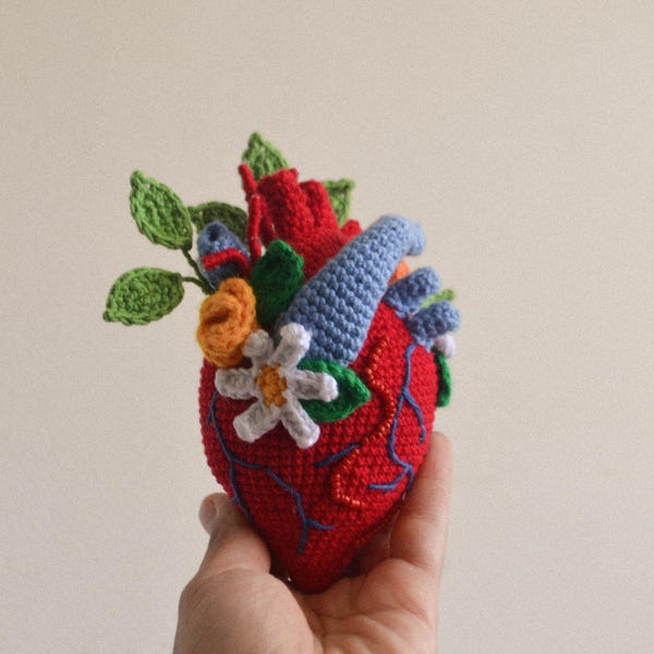 Crochet Pattern Anatomical Heart, Amigurumi Human Heart - Etsy