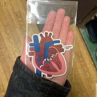 Labeled Heart Diagram Sticker Hand-drawn Anatomy Sticker Medical ...