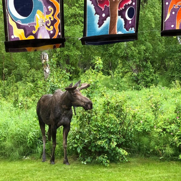 Batik Goddess Flags Set by Lotus Tribe 7 Piece Flag Set Handmade With ...