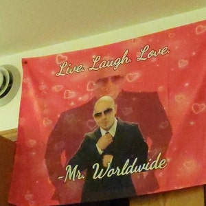 Hasbulla Collage Throw Pillow Hasbulla Collage Pillowcase - Etsy